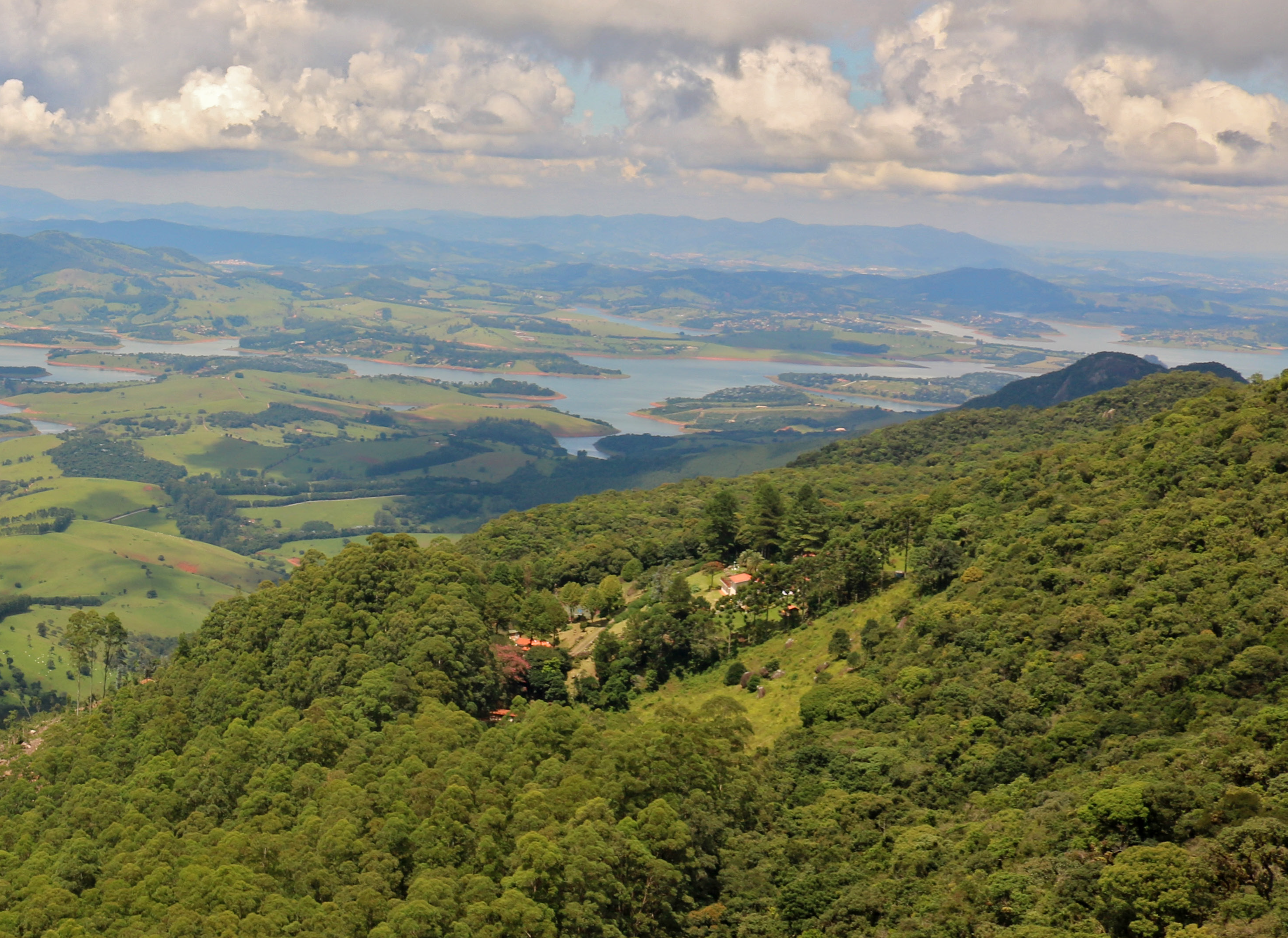 The Global Forest Transition: Three Days to Change the Way We Save the ...