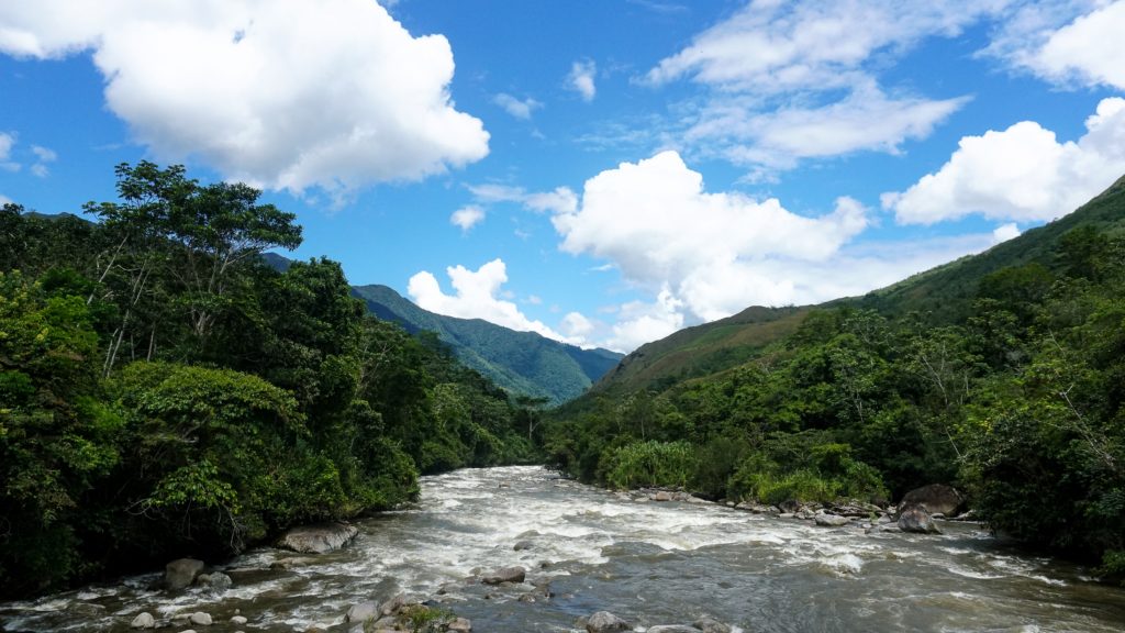 Conserving 50,000 hectares of biodiverse forest in Peru | Initiative 20x20