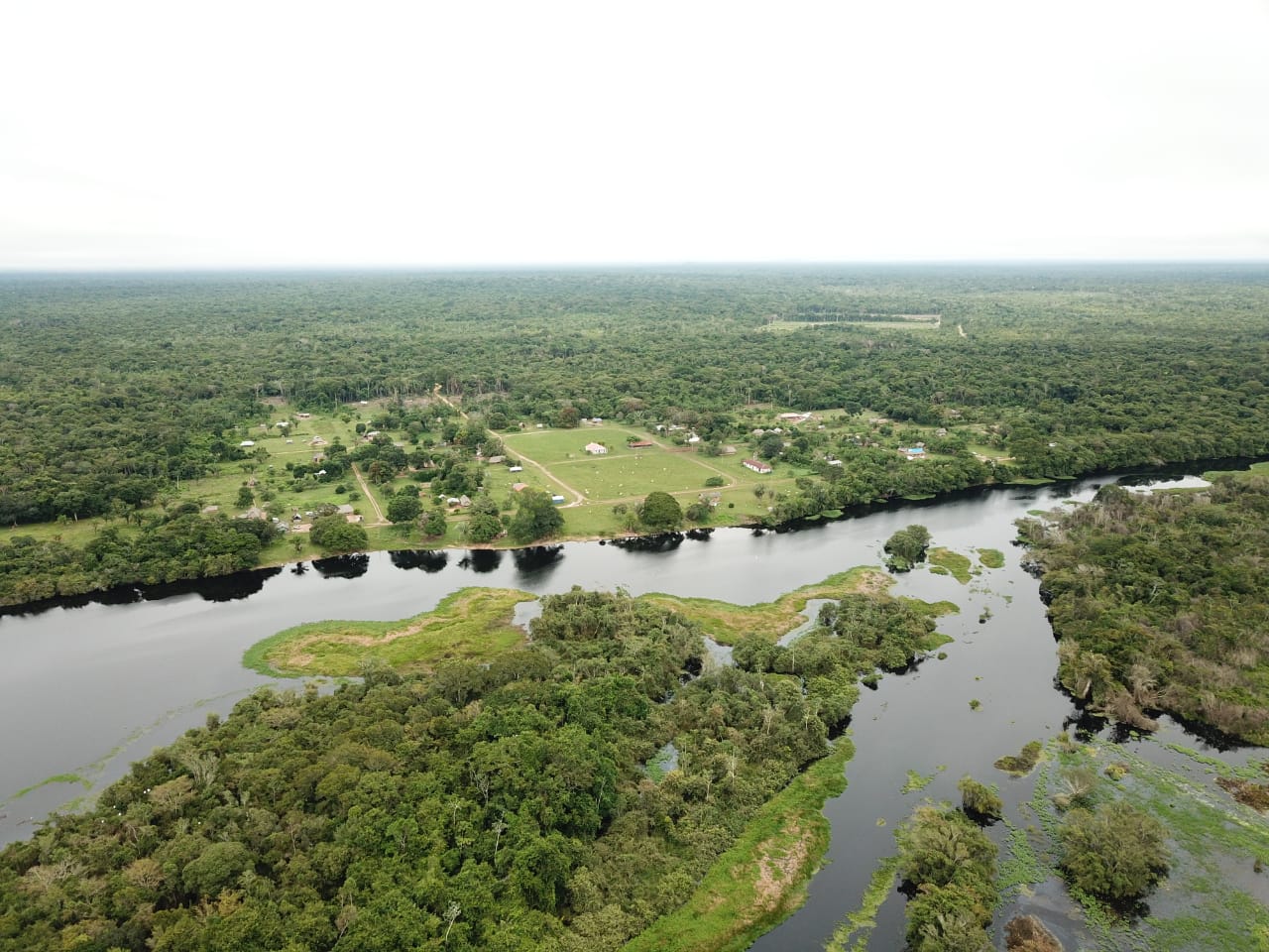 Connecting the Amazon and Chiquitano dry forests in Bolivia ...