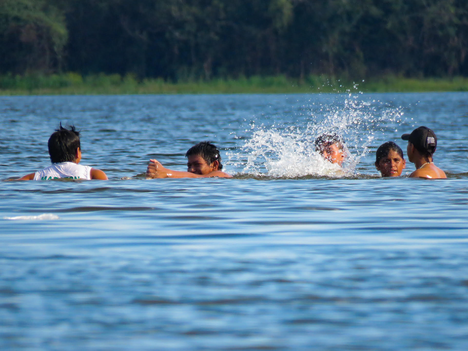 Connecting the Amazon and Chiquitano dry forests in Bolivia ...
