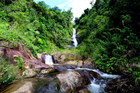 Conserving 50,000 hectares of biodiverse forest in Peru | Initiative 20x20